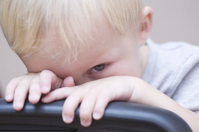 Everything You Need to Know if You Have a Late Talker Child